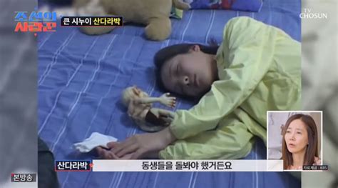 산다라박 가장으로서 그냥 견뎌 19살 필리핀 보아 시절 떠올리며 울컥 조선의 사랑꾼 종합 Osen