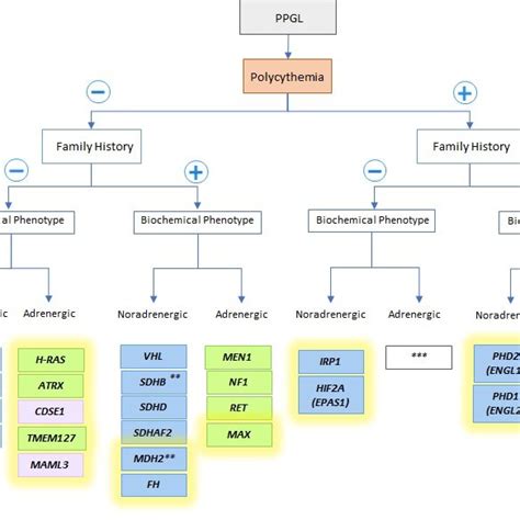 Schematic Algorithm For Identifying A Possible Driver Mutation Of The