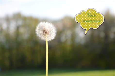 Un dimanche à la campagne Le bonheur est dans le pré