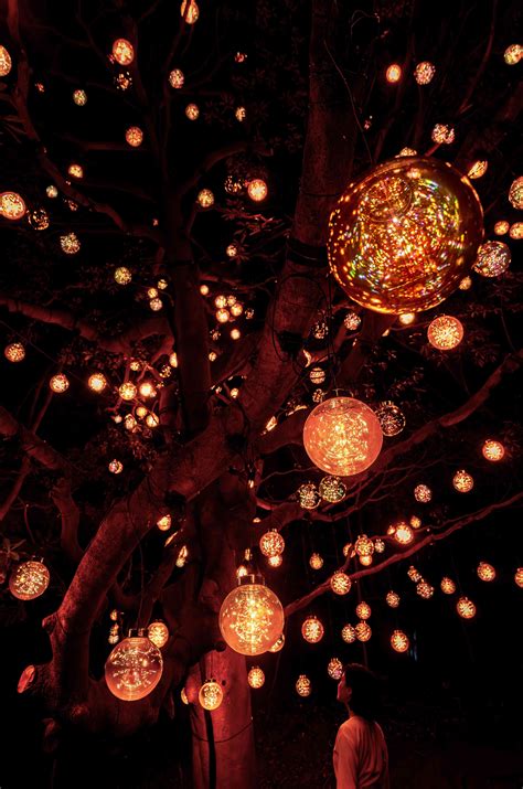 Resonating Universe In The Tabunoki Tree Teamlab