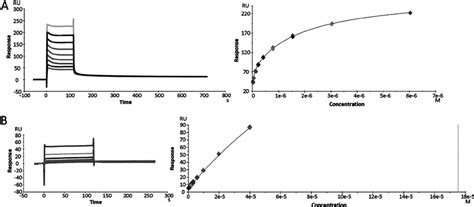 Surface Plasmon Resonance Spr Binding Analysis Of Human Hb Hhb A