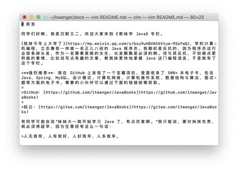 vim，牛逼 沉默王二博客