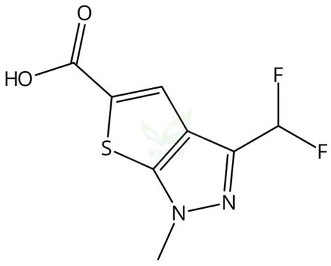3 Difluoromethyl 1 Methyl 1H Thieno 2 3 C Pyrazole 5 Carboxylic Acid