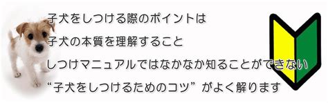 子犬のしつけcom