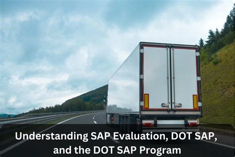 What Is A Dot Sap