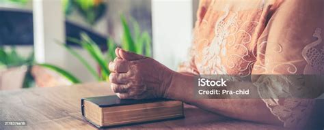 기도와 성경 개념 선배 여성과 함께 손을 잡고 성경을 읽으며 생각에 잠기고 교회에서 눈을 감았다 사람 옆모습 여성의기도와 평화 배너 이미지에 대한 희망 70 79세에 대한