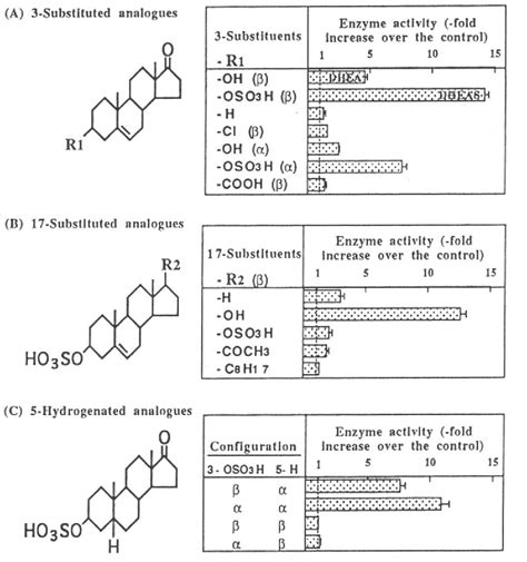 Figure 3 From Induction Of Peroxisomal β Oxidation Enzymes By