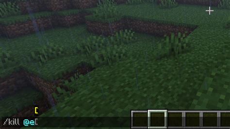 How To Kill Specific Entities In Minecraft