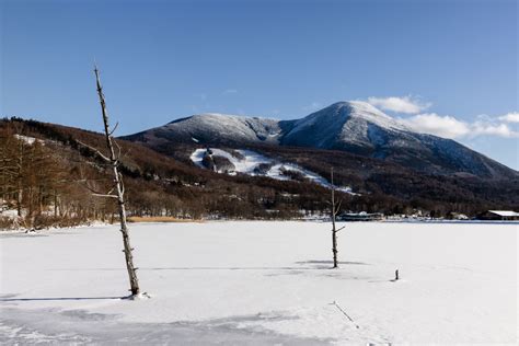 Spi Furusato