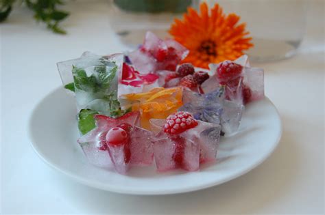 Wasser Mit Geschmack Ist Trendy Wir Leben Nachhaltig