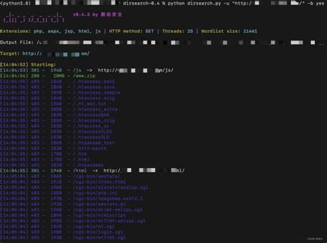 目录扫描js中提取url和子域403状态绕过指纹识别对url进行目录扫描 Csdn博客