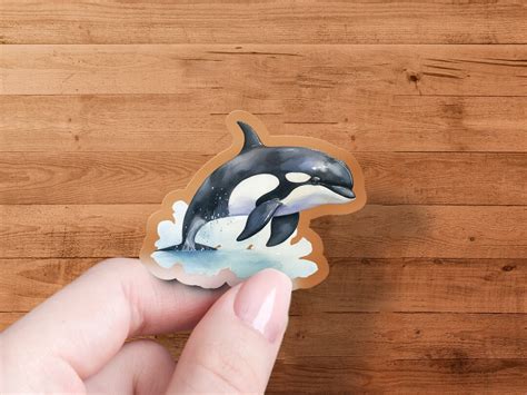 Killer Whale Sticker Vinyl Decal Ocean Decal Cute Stickers Whale