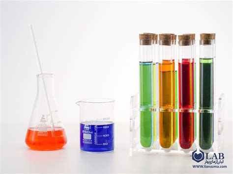 بررسی فرق و تفاوت ارلن مایر و بشر از 5 جنبه مختلف