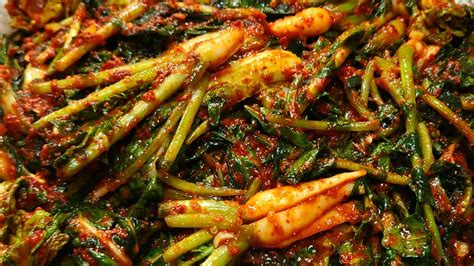 이제 열무김치 이렇게 드셔보세요 열무김치 맛있게 담그는방법 김치요리 얼가리김치요리 겉절이요리 밑반찬요리 얼가리김치 열무김치 만드는법 열무김침 만드는방법 열무김치 담그기