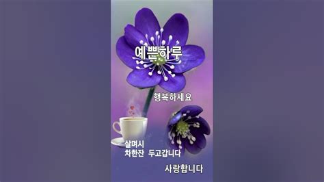 좋은아침 행복이랑 건강이랑 함께 하는 하루되세요 화이팅 Youtube