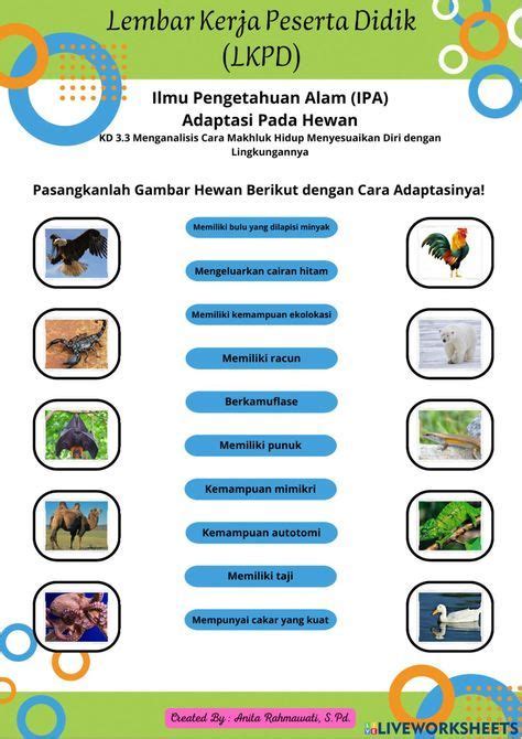 LKPD IPA Kelas 6 Adaptasi Hewan 3 3 Worksheet Ipa Worksheets Videos