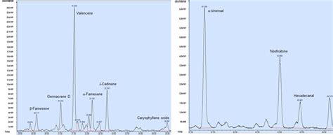Gc Chromatogram Of The Sesquiterpene Fractions Of Orange Essential Oil