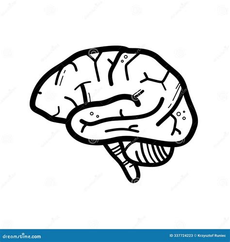 Human Brain Mind Vector Icon Stock Illustration Illustration Of