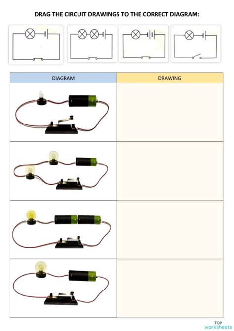 Year 6 Science Circuit Drawings Interactive Worksheet Topworksheets