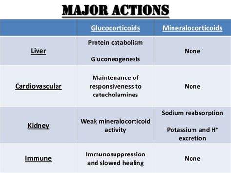 Exam 3 Review Endocrine Flashcards Quizlet