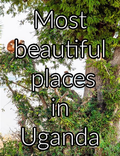 12 Most Beautiful Places In Uganda To Visit Global Viewpoint