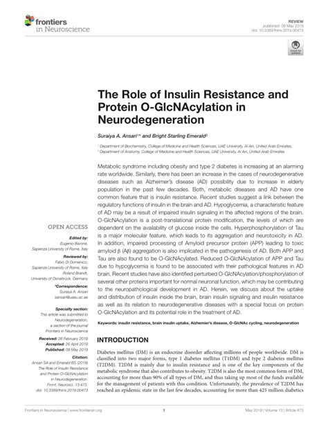 Pdf The Role Of Insulin Resistance And Protein O Glcnacylation In