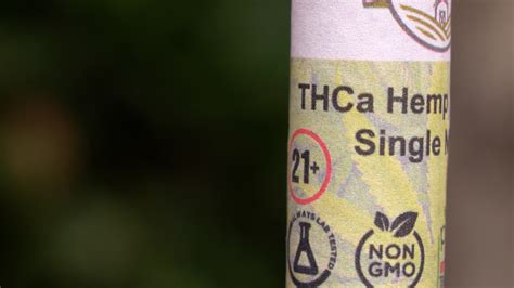Tennessee Judge Halts New Hemp Product Rules Amid Legal Challenges