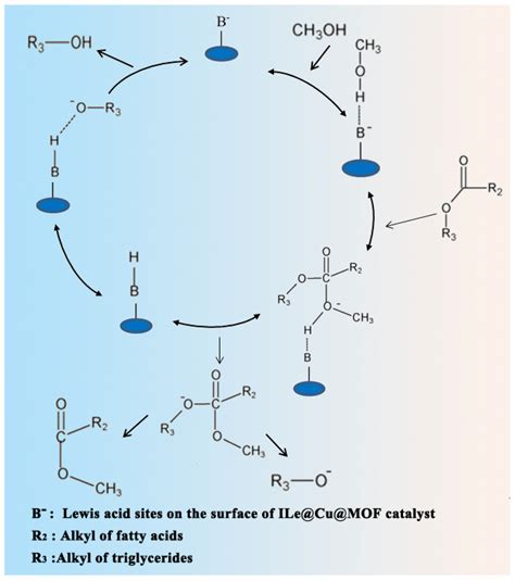 Coatings Free Full Text Preparation Of Ile Cu Mof Catalyst And Its Application In Biodiesel