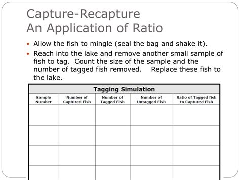 Ppt Capture Recapture Powerpoint Presentation Free Download Id9492679