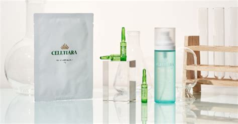 셀티아라 일본 후생성 인증 해외 진출 본격화