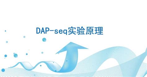 Dap Seq原理是什么？视频讲解 知乎