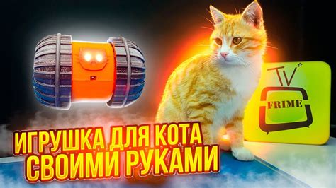 Умная электронная игрушка для кота своими руками YouTube