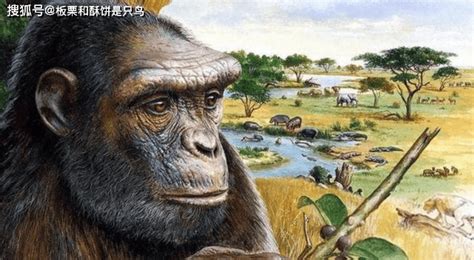 第四纪冰川时期面对极寒天气和剑齿虎人类祖先是怎么活下来的 进化