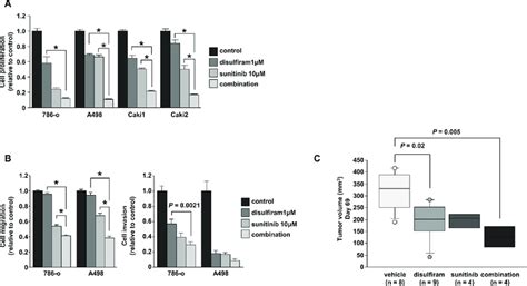 Synergistic Effects Of The Combination Of Disulfiram And Sunitinib In
