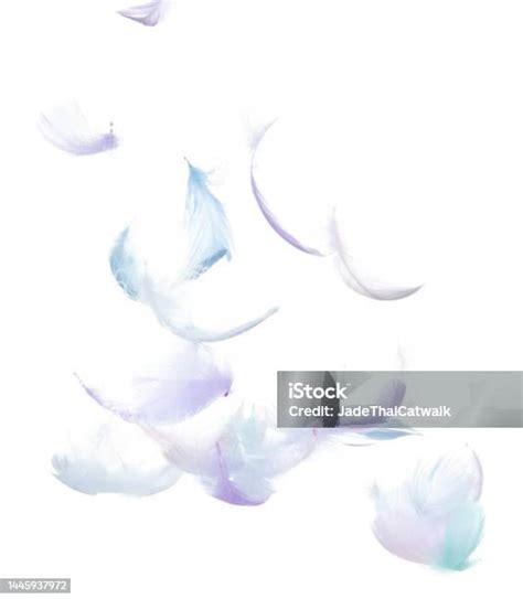 많은 파스텔 깃털 파리는 고립 된 흰색 배경 위에 공중에 떨어집니다 푹신푹신한 부드러운 깃털은 하늘에 떠 있는 꿈처럼 부드러운
