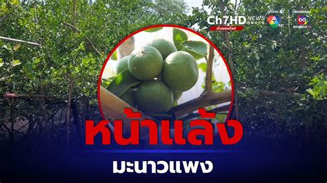ข่าวทำใจ หน้าแล้งมะนาวแพง จ่อทะลุ ลูกละ 5 บาท