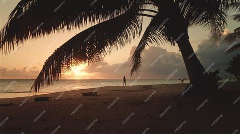 Premium Photo Woman Walking On Tropical Beach At Sunset Under Palm