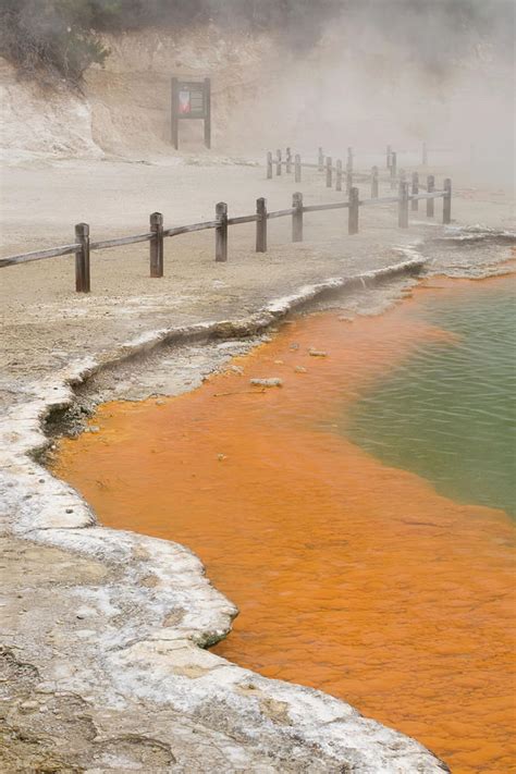 New Zealand Thermal Wonderland Photograph By Westend61 Fine Art America