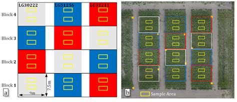Illustration Of The Randomized Complete Block Design Showing A The Download Scientific