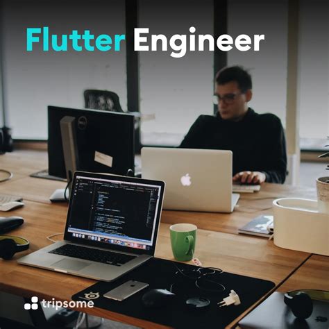 flutter developer mid senior edumap