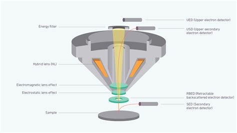Electron Microscopy Resolution Types And Techniques Technology Networks
