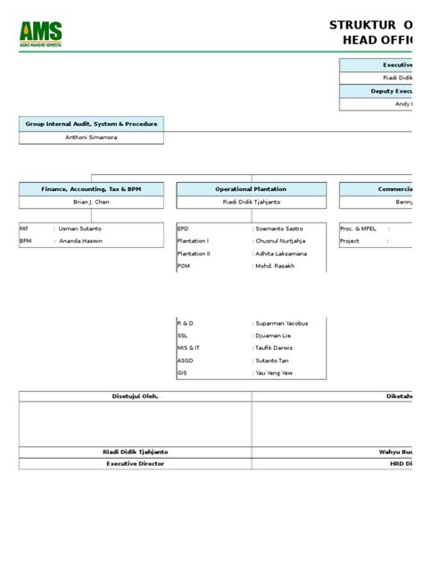 Organization Chart Ams 2016 Ho Feb Pdf Accounting Business