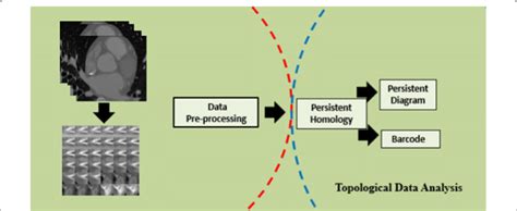 Topological Data Analysis Workflow With Imaging Signal Input Download Scientific Diagram