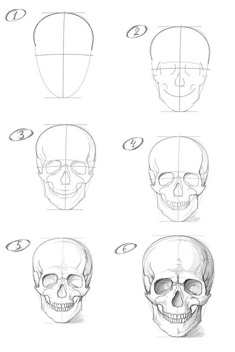 How To Draw A Skull With A Pencil Step By Step Drawing Tutorial Skull