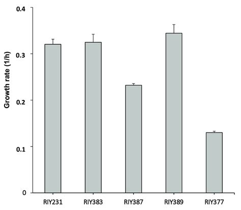 Growth Rate Of Y Lipolytica Strains Riy231 Ptef Ylgsh1 Ylgsh2