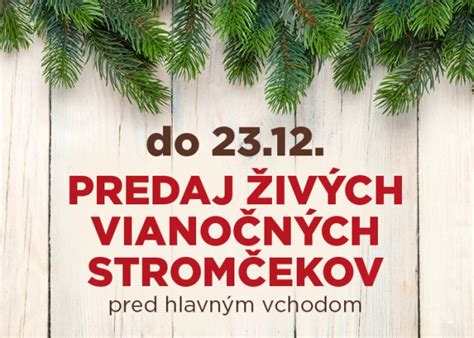 Predaj Vianočných Stromčekov Oc Max Poprad
