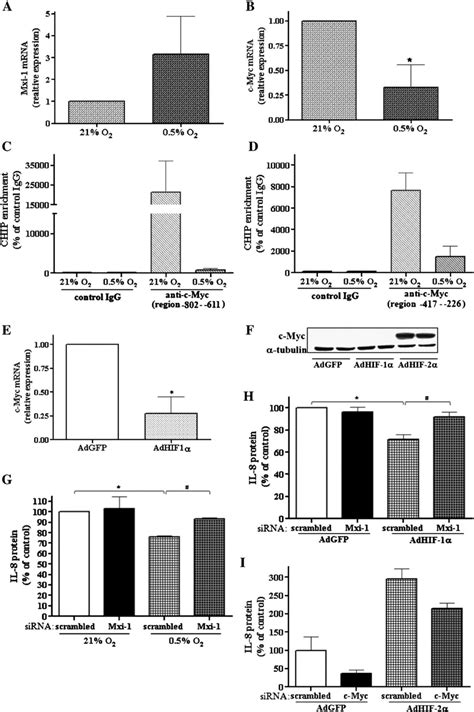 C Myc And Mxi 1 Are Involved In Different Regulation Of Il 8 Expression