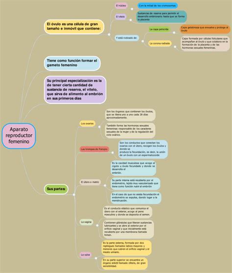 Mapas Mentales Aparato Reproductor Femenino Descargar