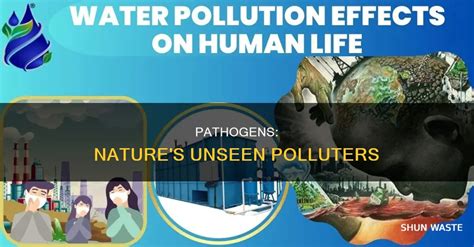 Pathogens Natures Unseen Polluters Shunwaste
