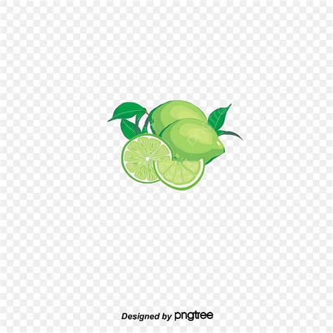 Lime Vector Material Lime Lemon Green Vector Lemon Slices Png And